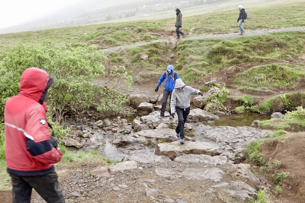 Walk in Nature - Rejuvenate Brain Power, Lift Mood, Improve Health